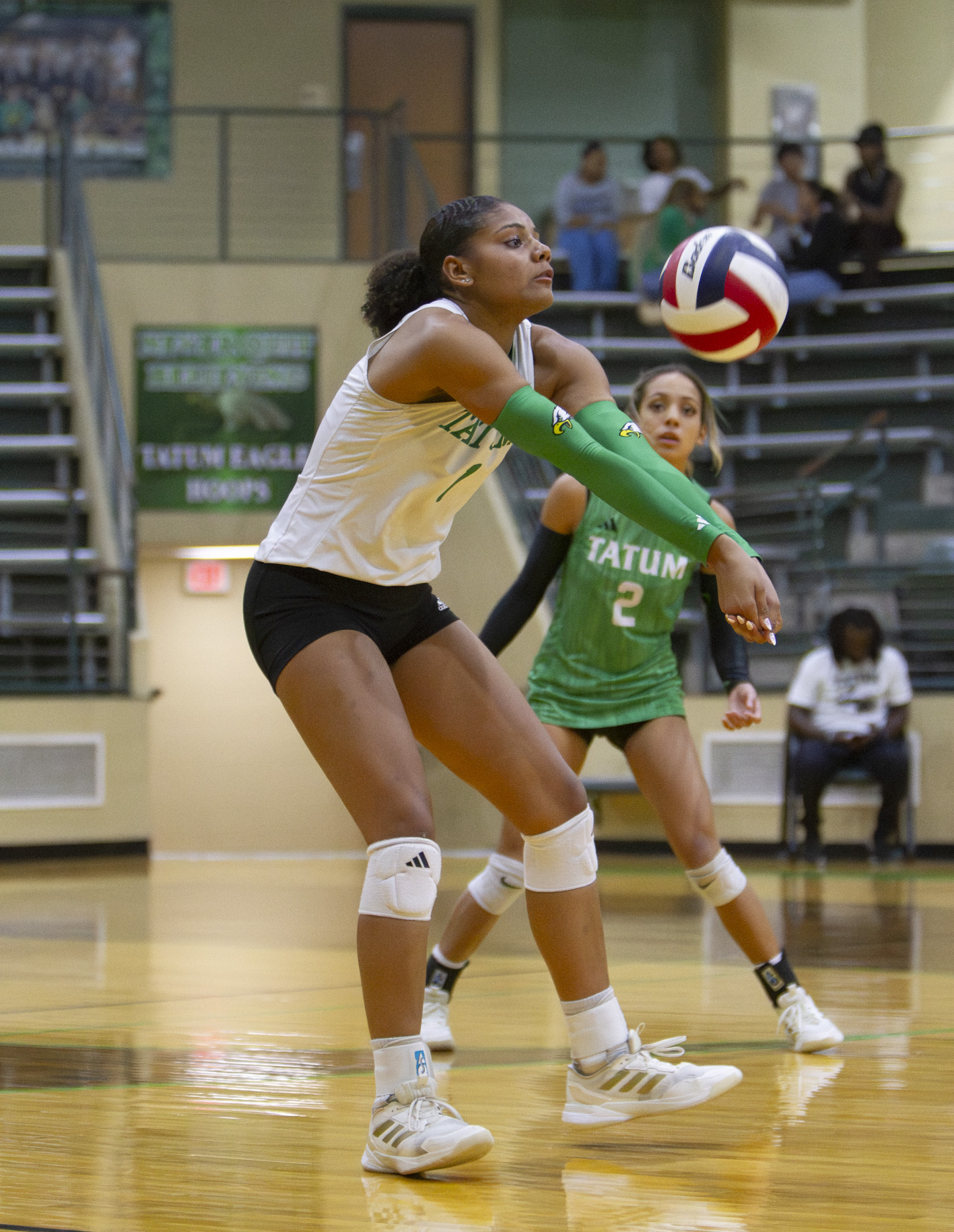 Blue Bell/TSWA Class 3A All-State Volleyball Team | The Henderson News