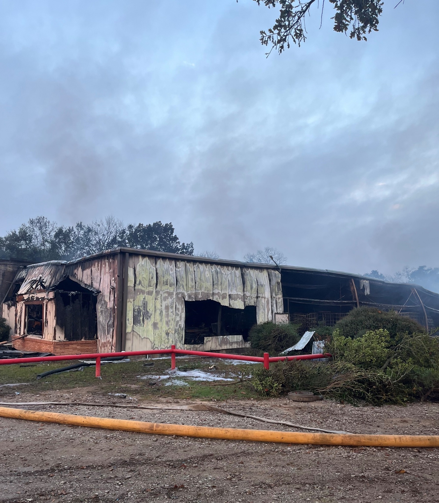 Investigation underway after plant fire leads to evacuation | The ...