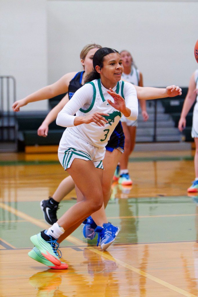 Girls Basketball: Overton, Tatum, Carlisle pick up wins | The Henderson ...